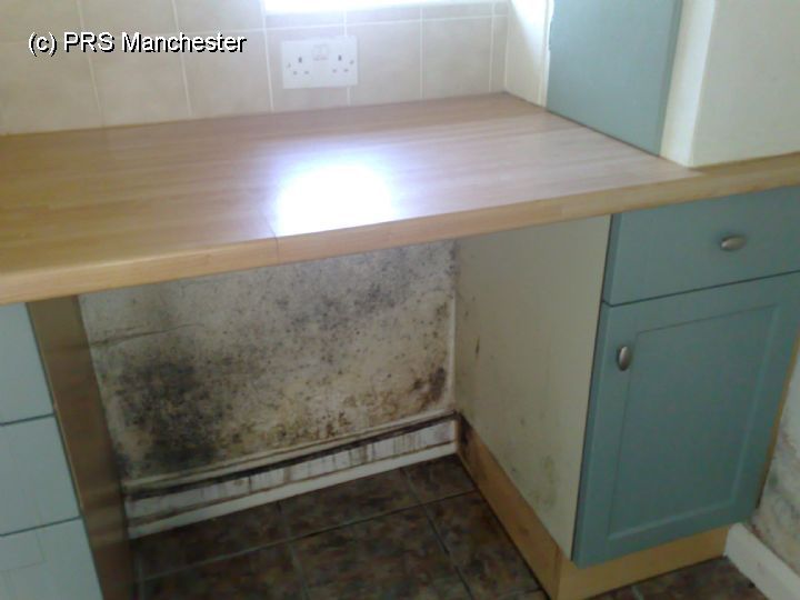 Dealing with dampness during monsoon » The Crafty Angels